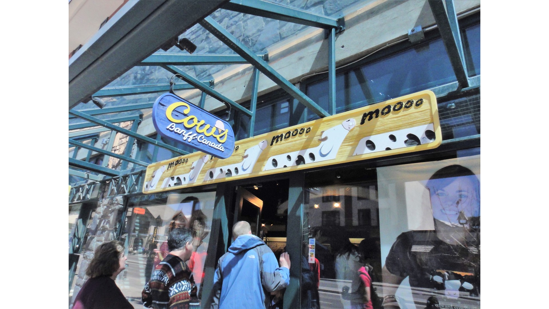 Cows – Banff, Alberta – Elsie Hui