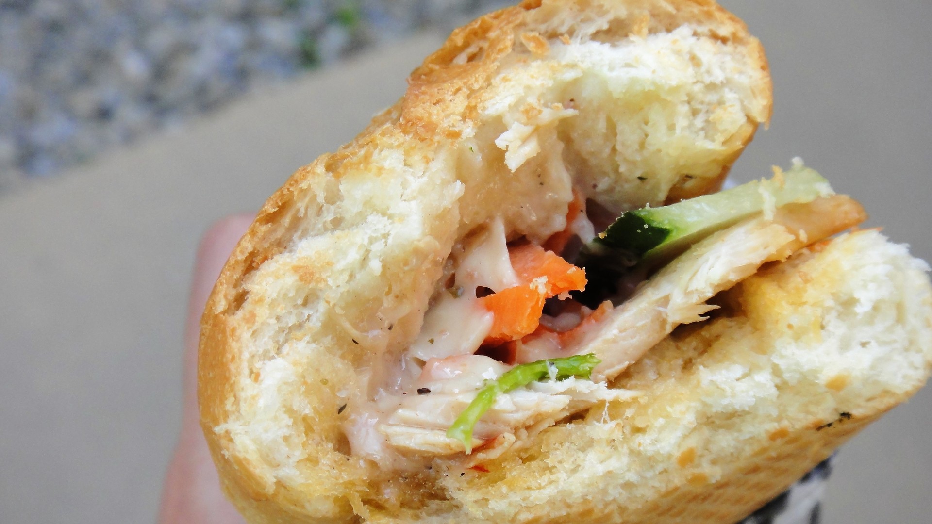 Thi Thi Vietnamese Submarine – Elsie Hui